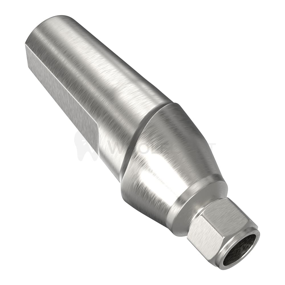 BEGO® Compatible Anatomically Shaped Straight Abutment - 57776 – WholeDent