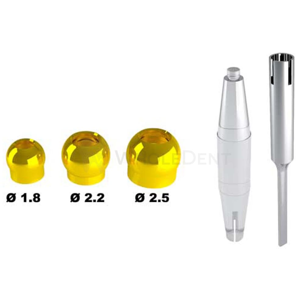 Kit de reconstrucción de microesferas cóncavas Rhein83 – WholeDent.com